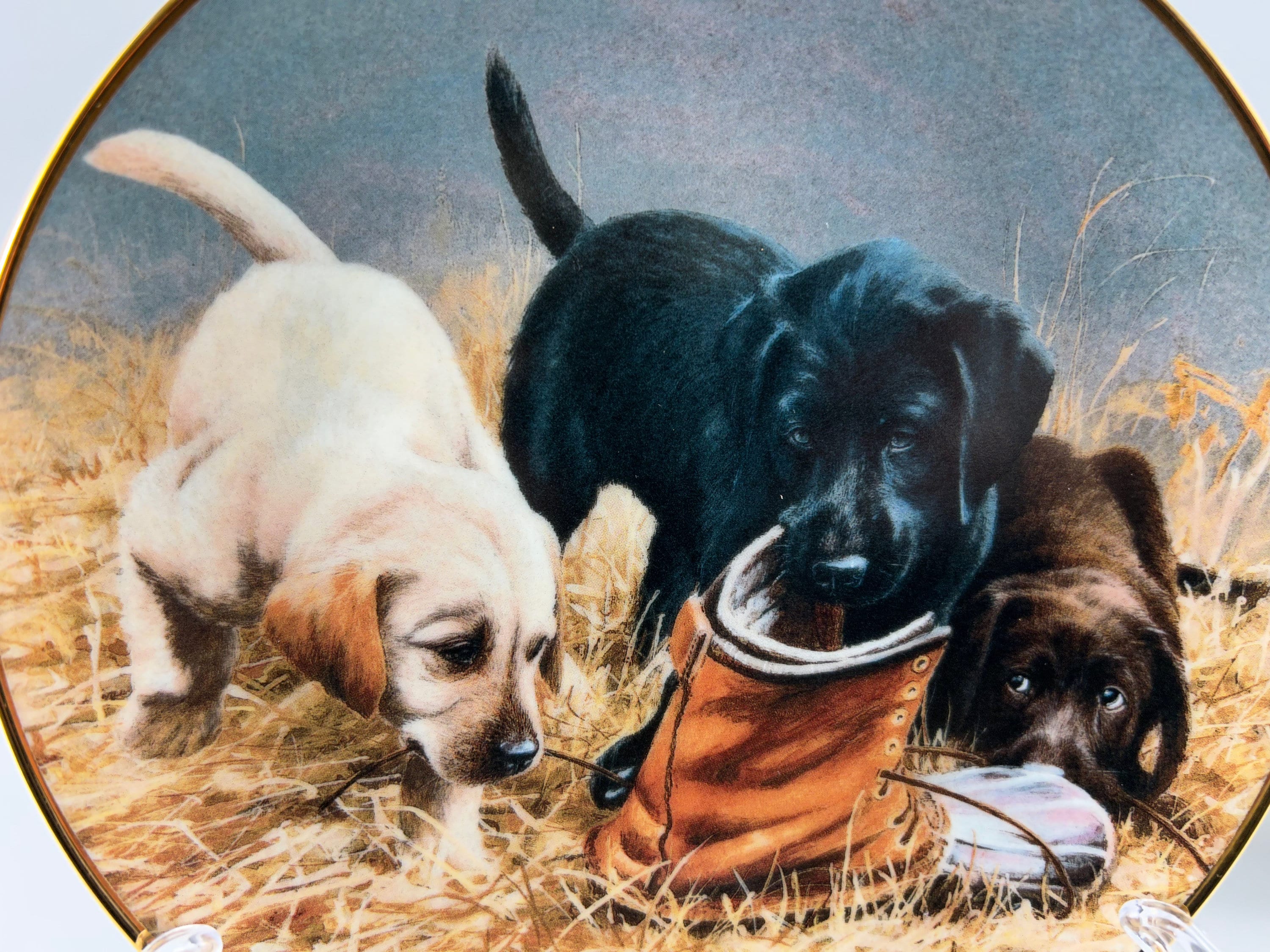 Labrador Puppy Plate 'three to Boot' White Lab and Black Labs Signed ...