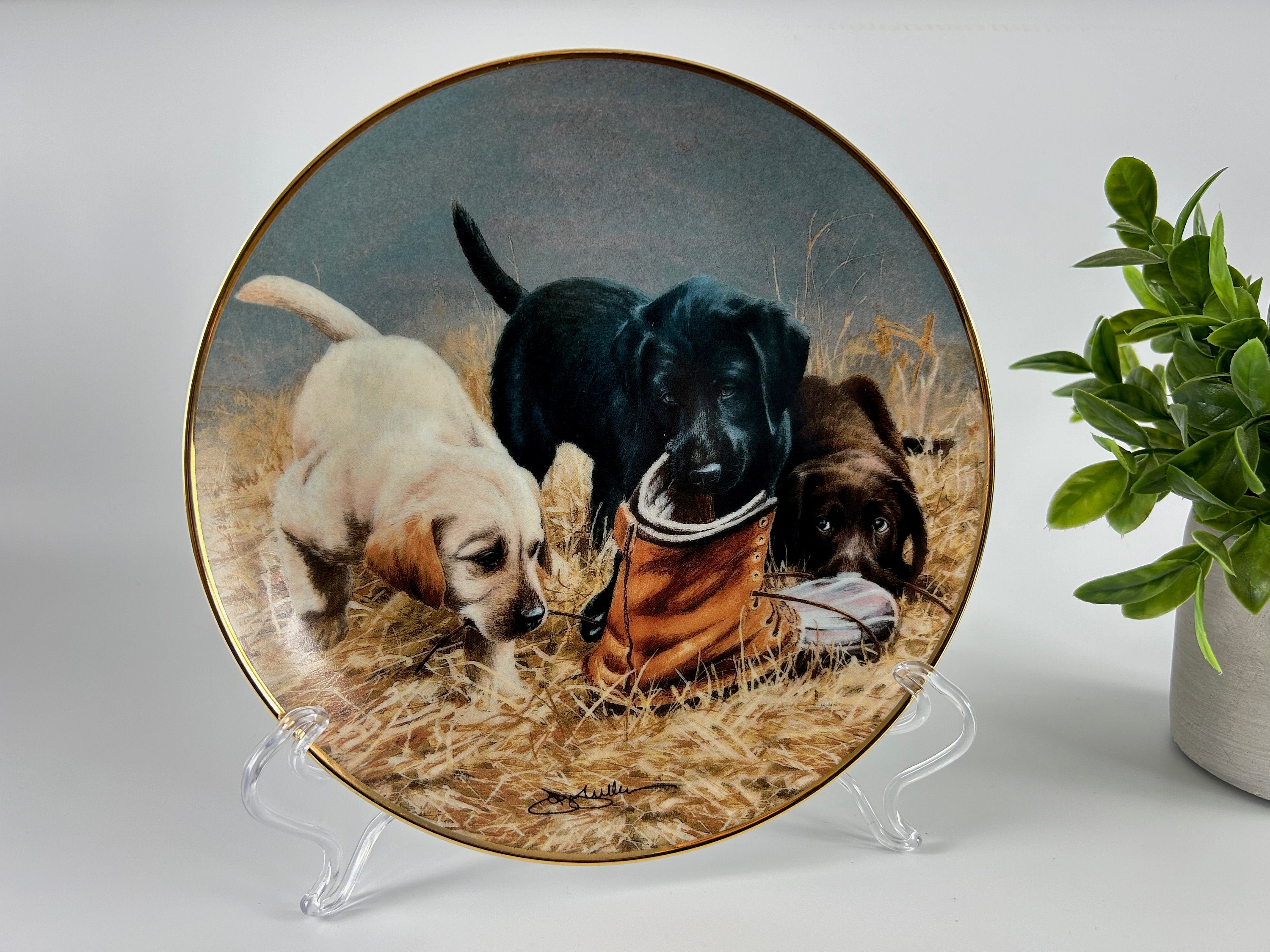 Labrador Puppy Plate 'three to Boot' White Lab and Black Labs Signed ...