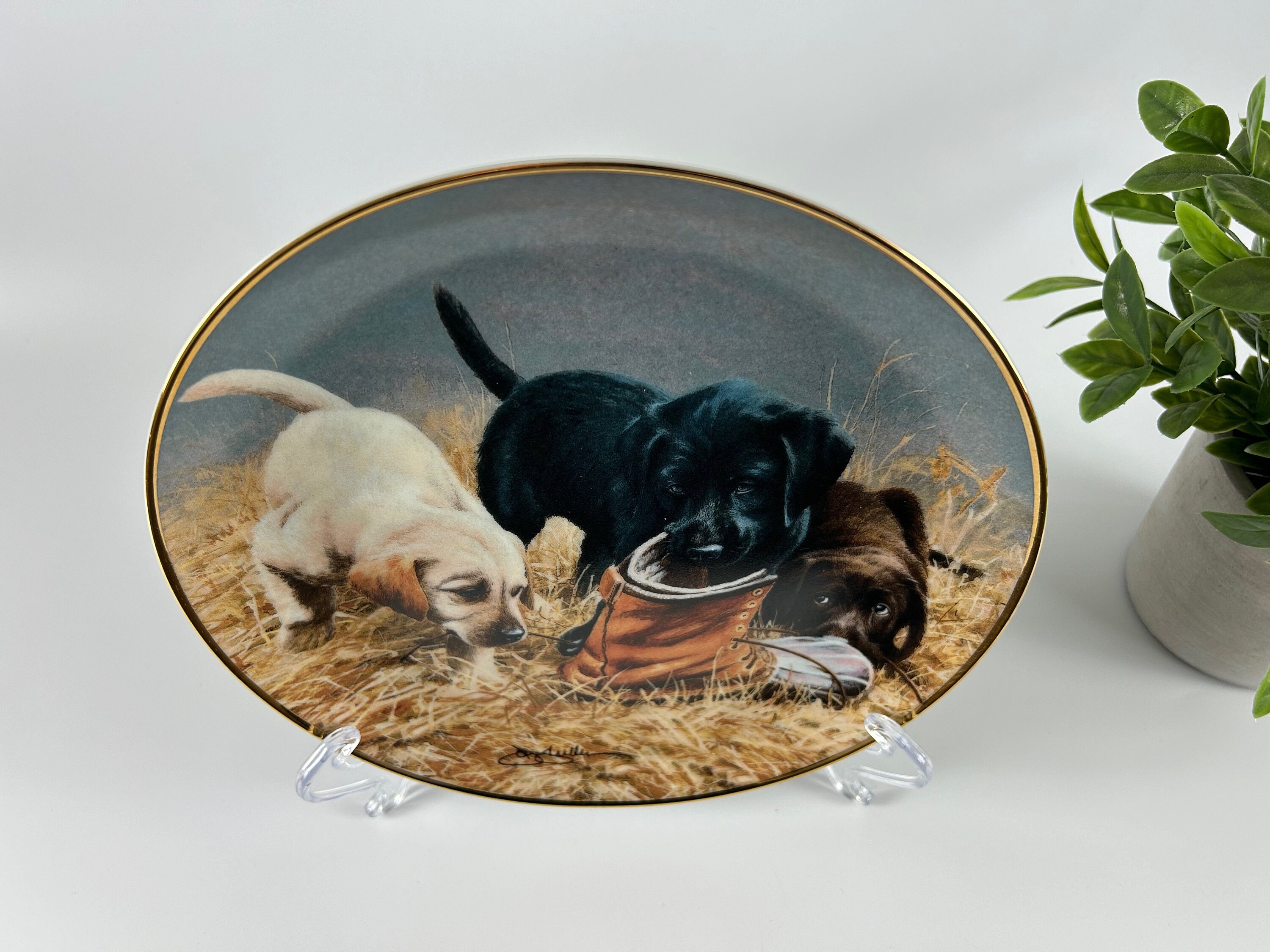 Labrador Puppy Plate 'three to Boot' White Lab and Black Labs Signed ...