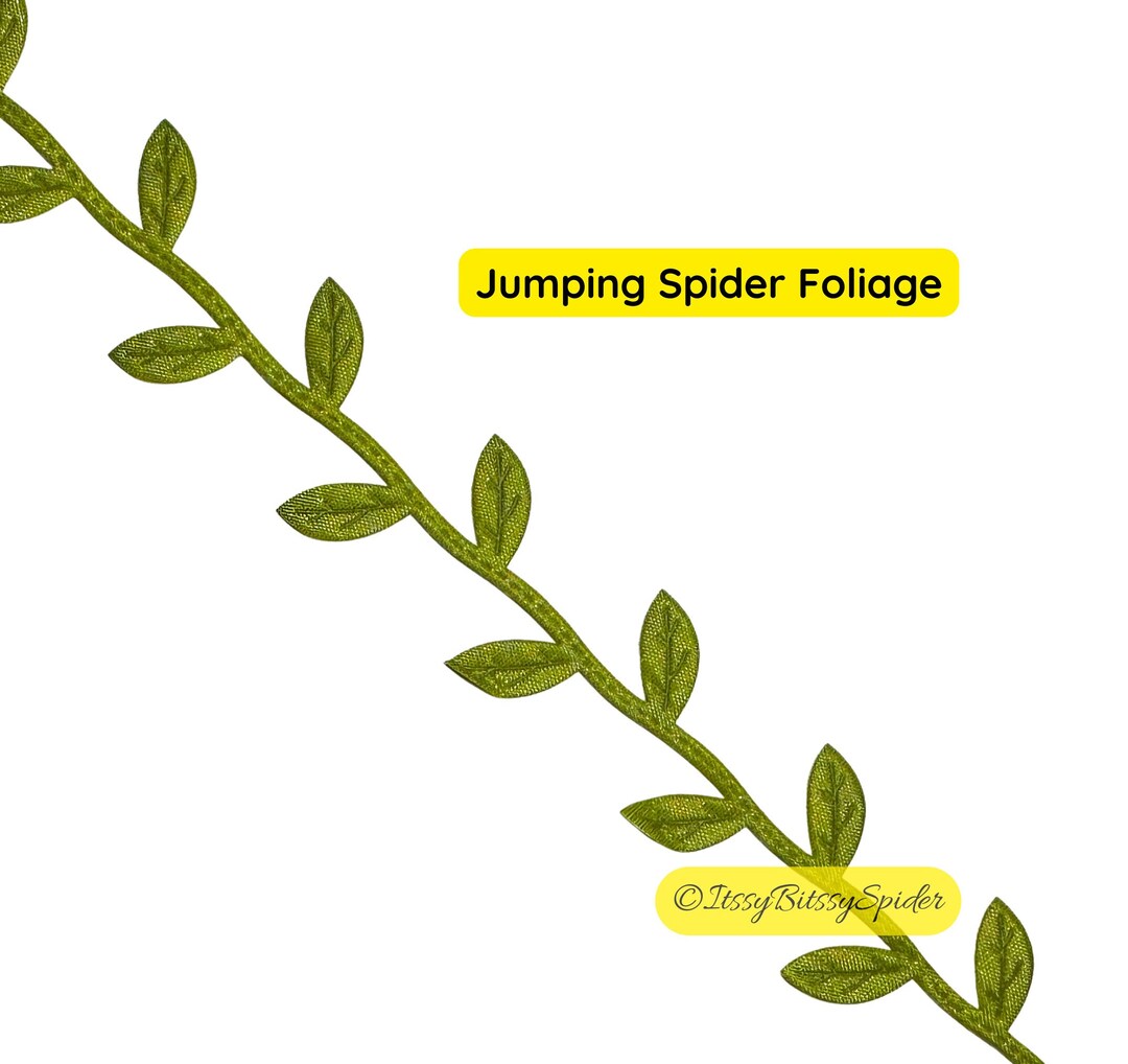 Foliage Ribbon for Jumping Spiders & Other Inverts - Etsy