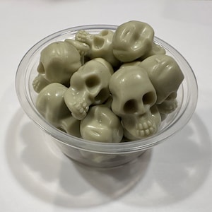 Jumping Spider Mini Skulls for Arachnid Enclosures. - Etsy