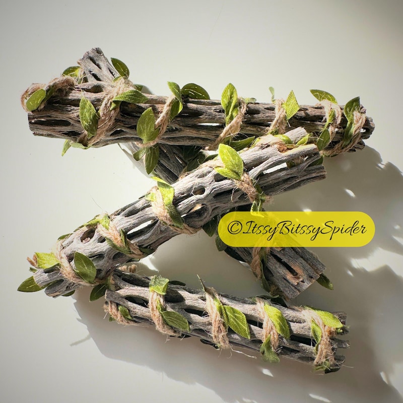 Cute Jumping Spider Tree - Etsy