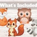 Woodland Animals Bulletin Board | Forest Theme Classroom Decor | Cute ...