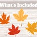 Fall Into a Good Book Bulletin Board | Autumn Reading Classroom Decor ...