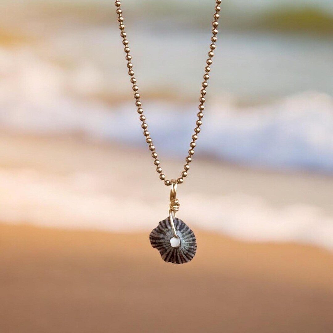 Minimalist Keyhole Limpet Shell Pendant on Gold Filled Chain (pendant ...
