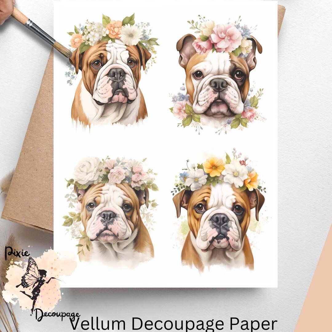 English Bulldog Portrait Collage 1, Vellum Decoupage Paper US Letter ...