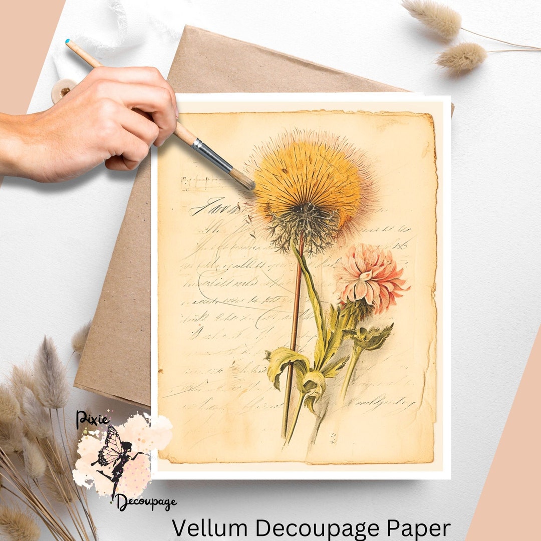 Vintage Dandelion 1 Decoupage Paper US Letter Size, Shipped to You - Etsy