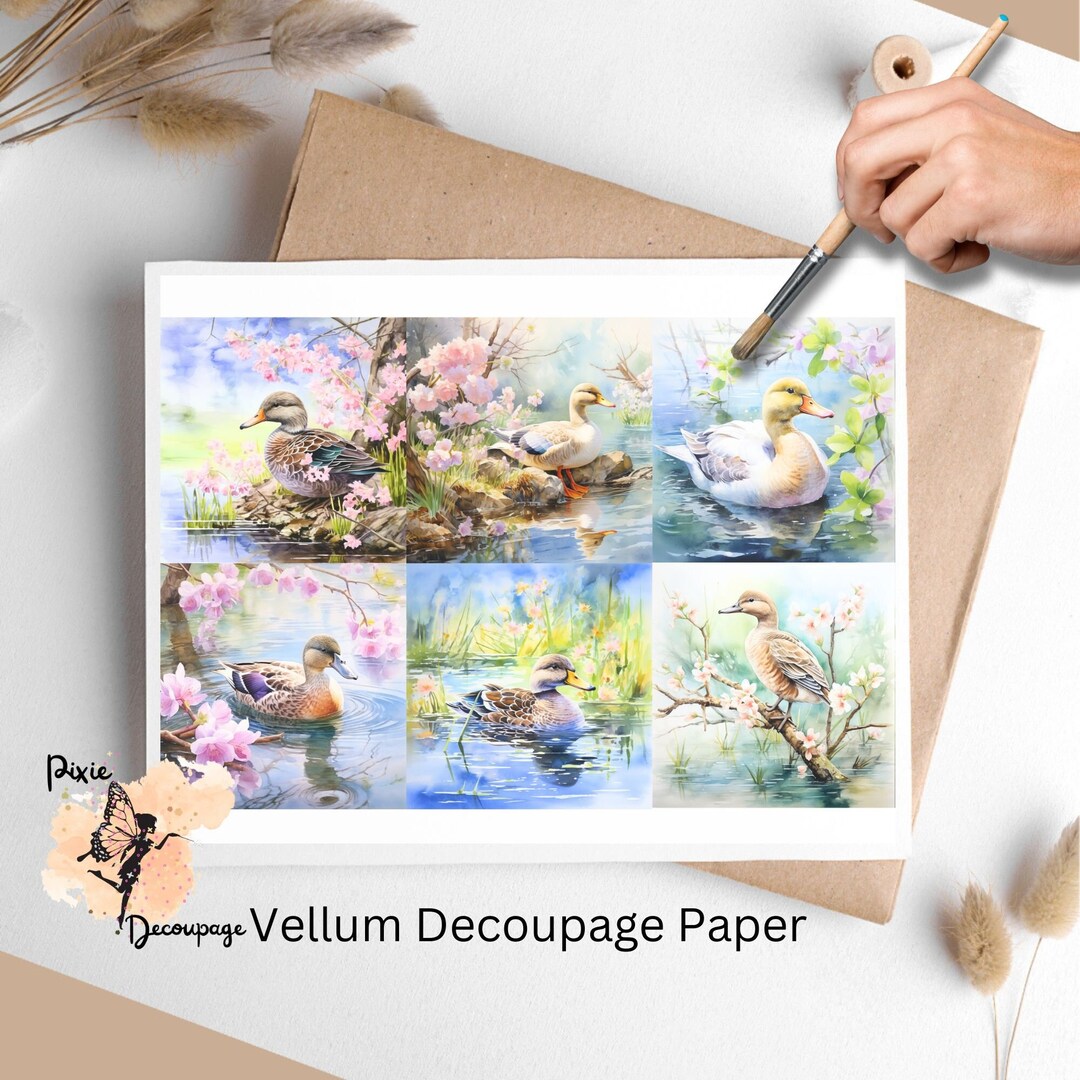 Duck in Spring Collage 1, Decoupage Paper US Letter Size, Shipped to ...