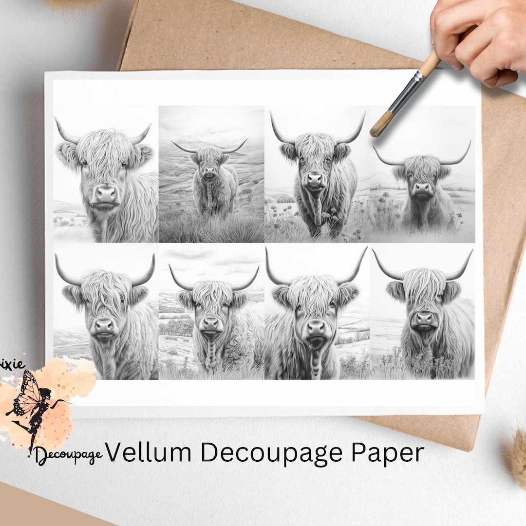 Black and White Highland Cow Collage 1, Vellum Decoupage Paper US ...