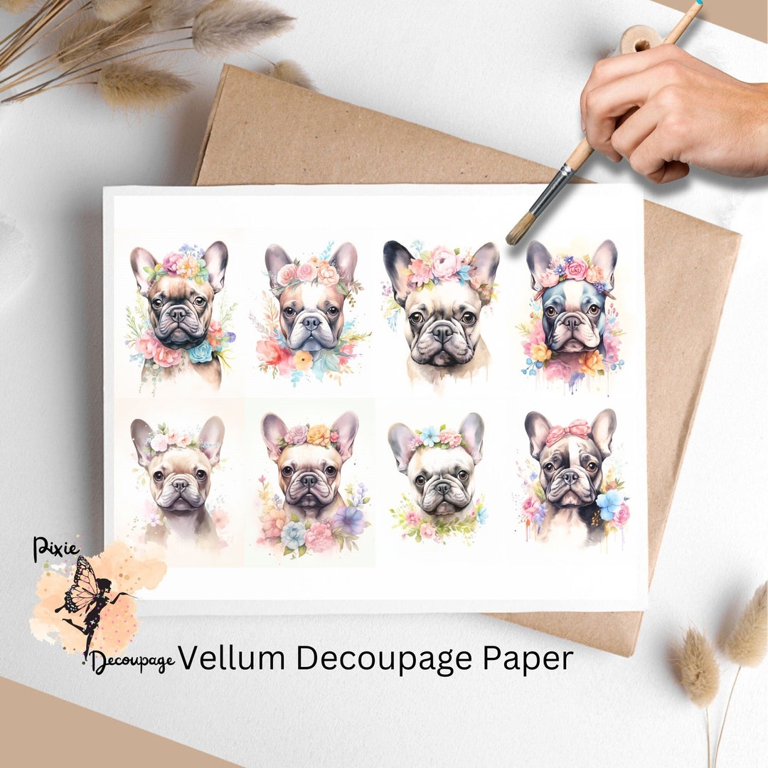 French Bulldog Portrait Collage 1, Vellum Decoupage Paper US Letter ...