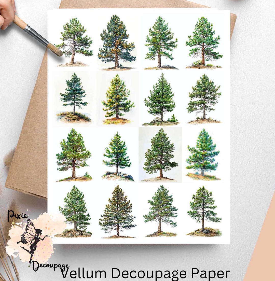 Pine Tree Collage 1, Vellum Decoupage Paper US Letter Size, Shipped to ...