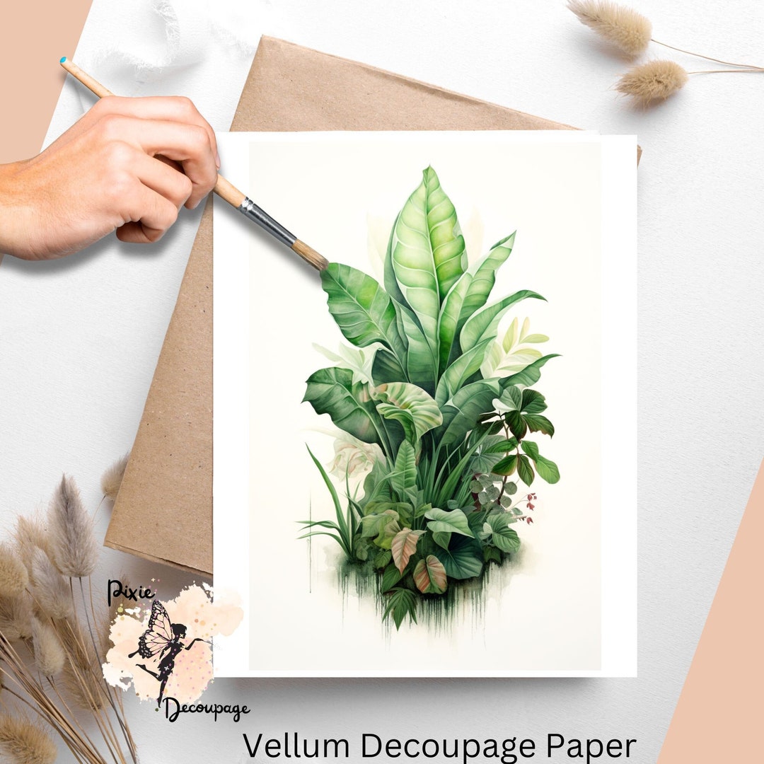 Botanical 2, Vellum Decoupage Paper US Letter Size, Shipped to You - Etsy