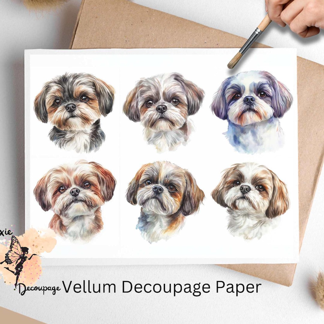 Shih Tzu Head Collage 1, Decoupage Paper US Letter Size, Shipped to You ...