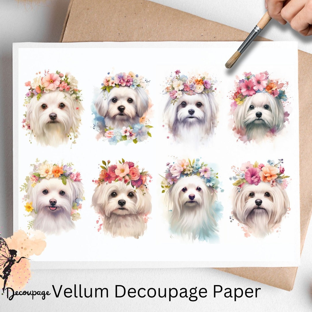 Maltese Portrait Collage 1, Vellum Decoupage Paper US Letter Size ...