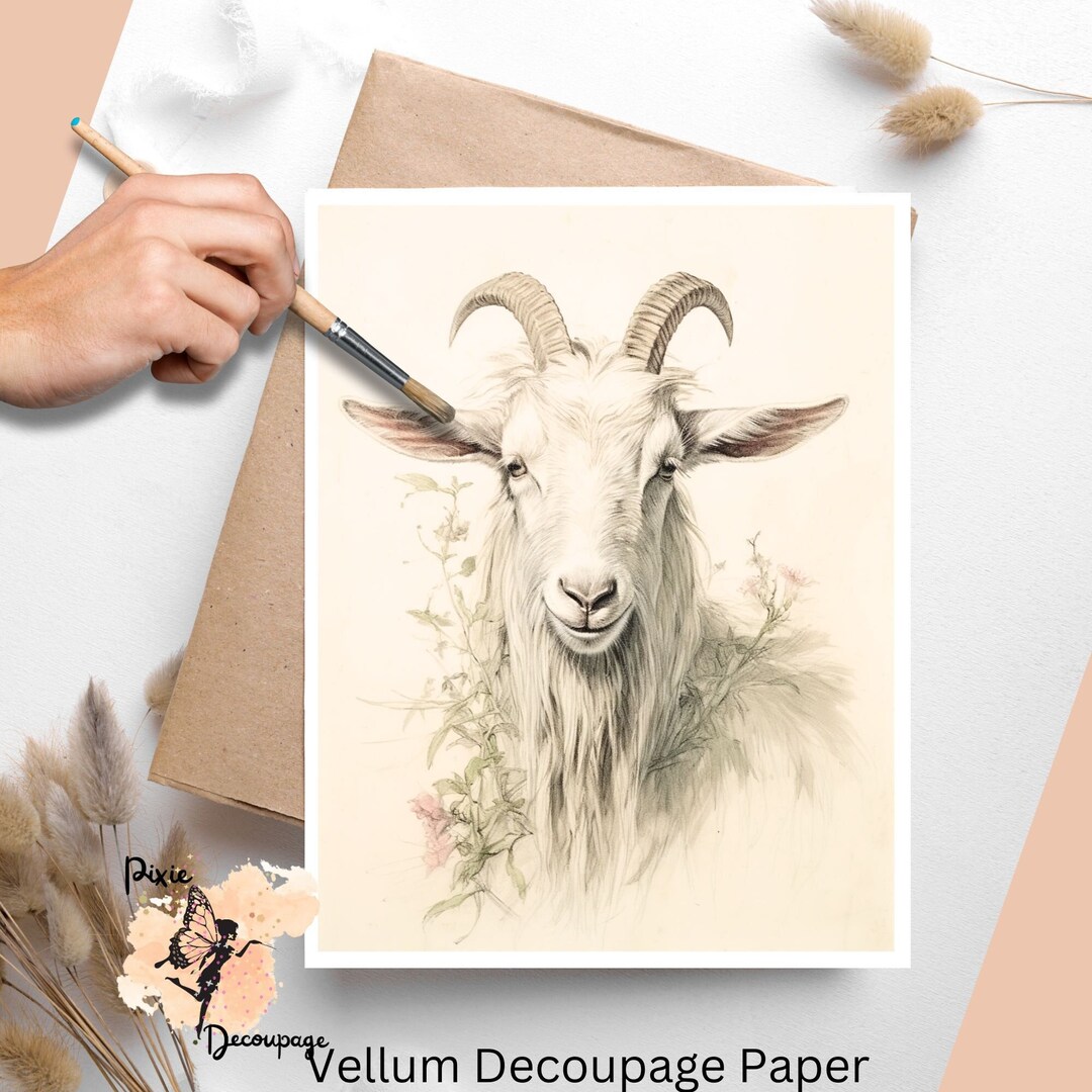 Vintage Goat 1, Vellum Decoupage Paper US Letter Size, Shipped to You ...