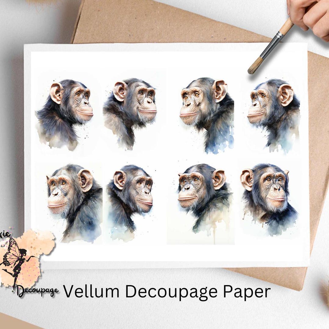 Chimpanzee Collage 1, Vellum Decoupage Paper US Letter Size, Shipped to ...