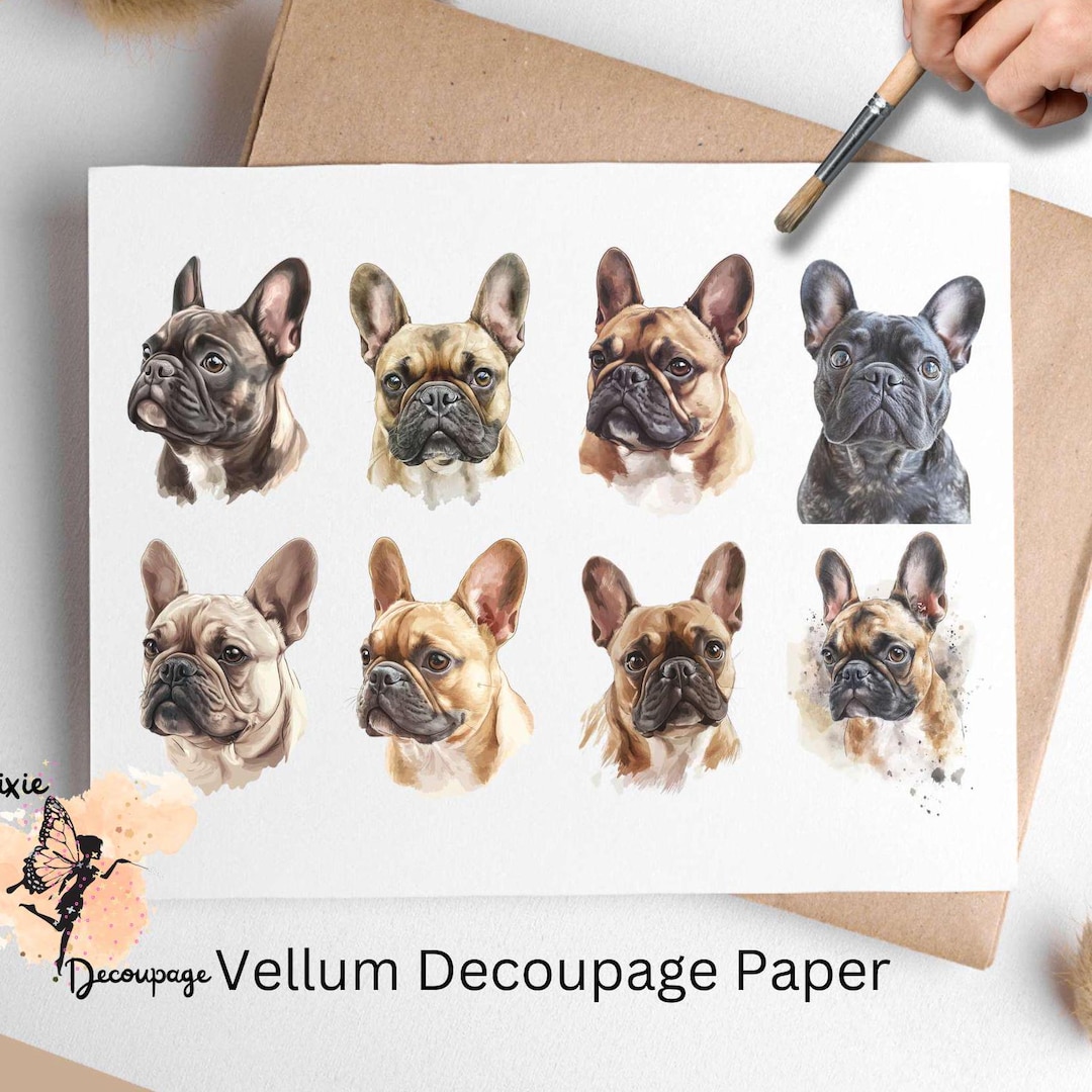 French Bulldog Collage 1, Vellum Decoupage Paper US Letter Size ...