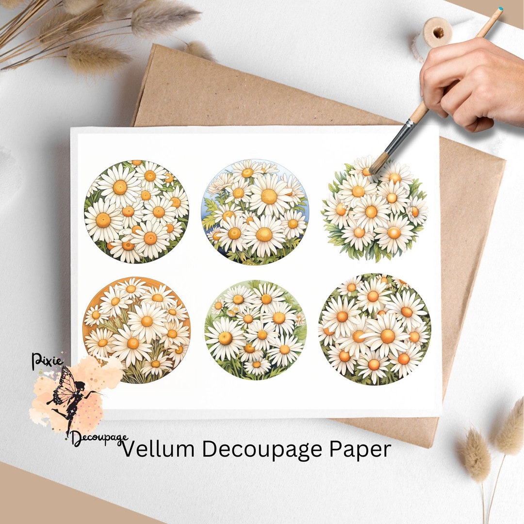 Daisies Collage 2, Decoupage Paper US Letter Size, Shipped to You - Etsy