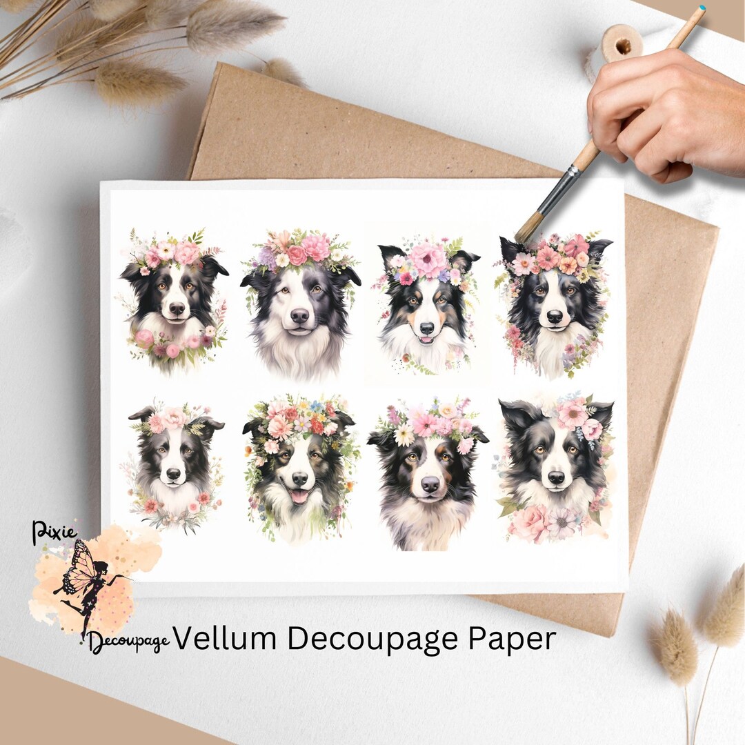 Border Collie Portrait Collage 1, Decoupage Paper US Letter Size ...