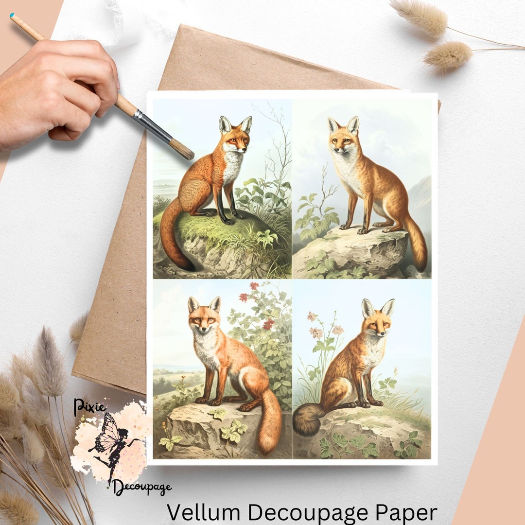 Vintage Fox Collage 2, Vellum Decoupage Paper US Letter Size, Shipped ...