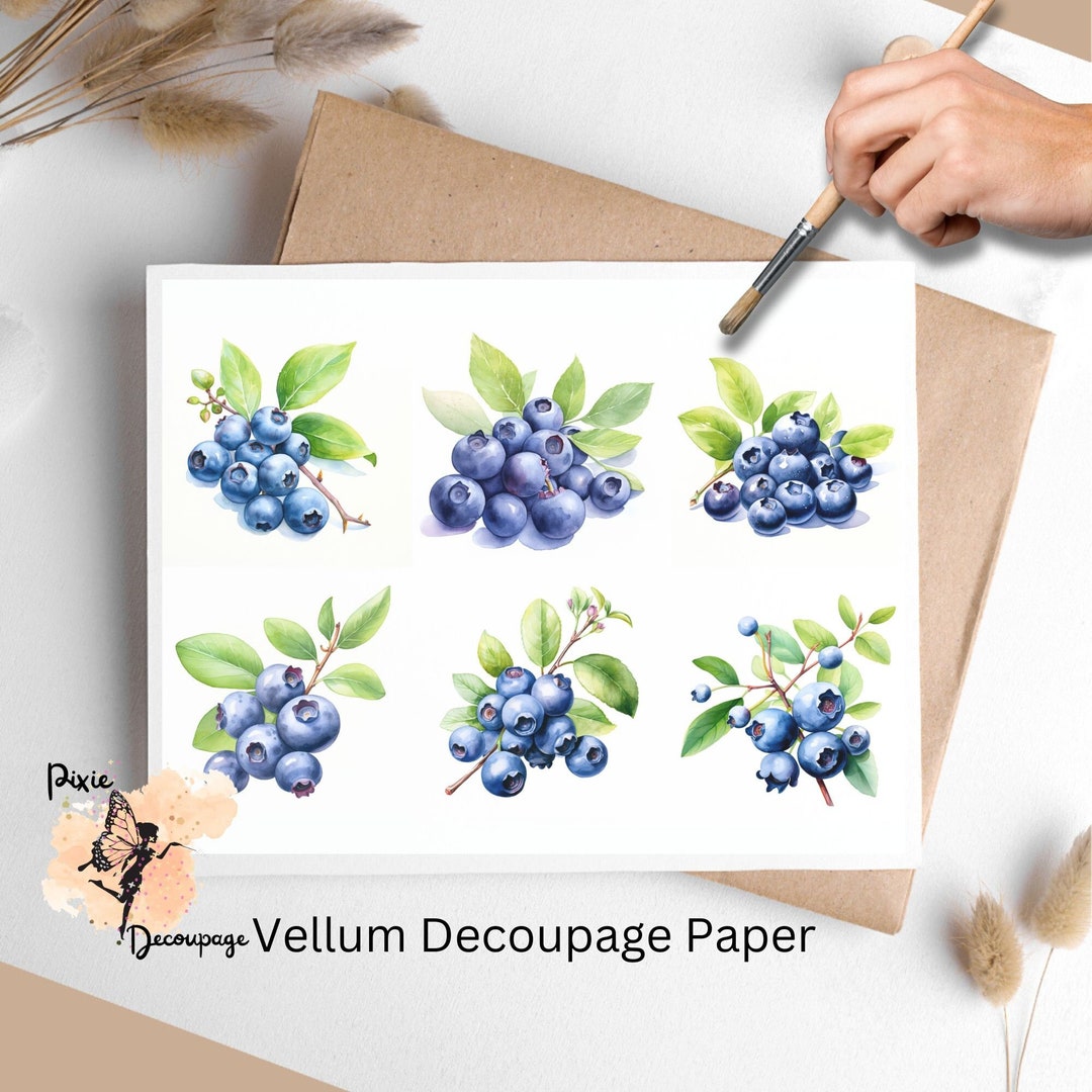 Blueberries Collage 2, Vellum Decoupage Paper US Letter Size, Shipped ...