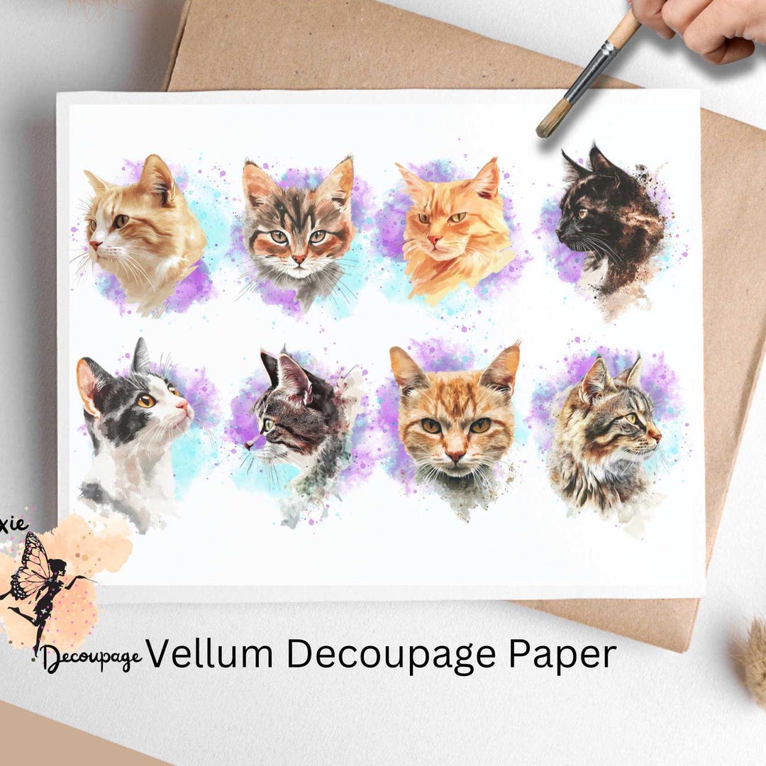 Cat Collage , Decoupage Paper US Letter Size, Shipped to You - Etsy