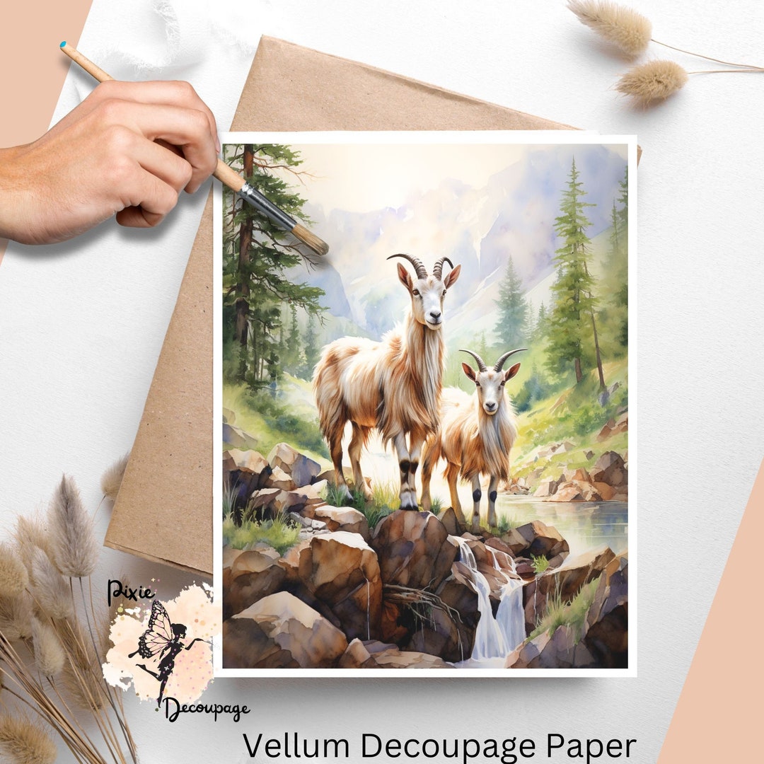 Goats 2, Vellum Decoupage Paper US Letter Size, Shipped to You - Etsy