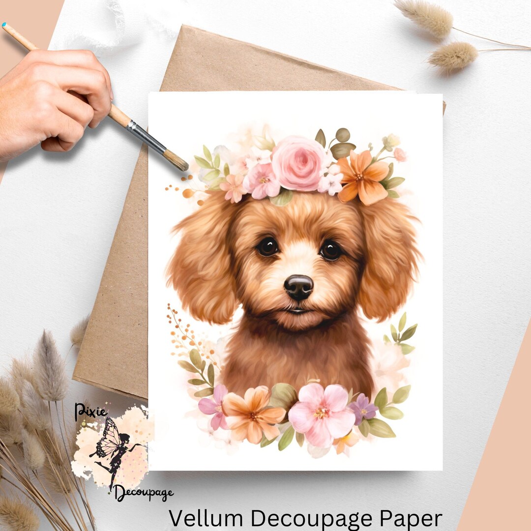 Brown Poodle Portrait 1, Decoupage Paper US Letter Size, Shipped to You ...