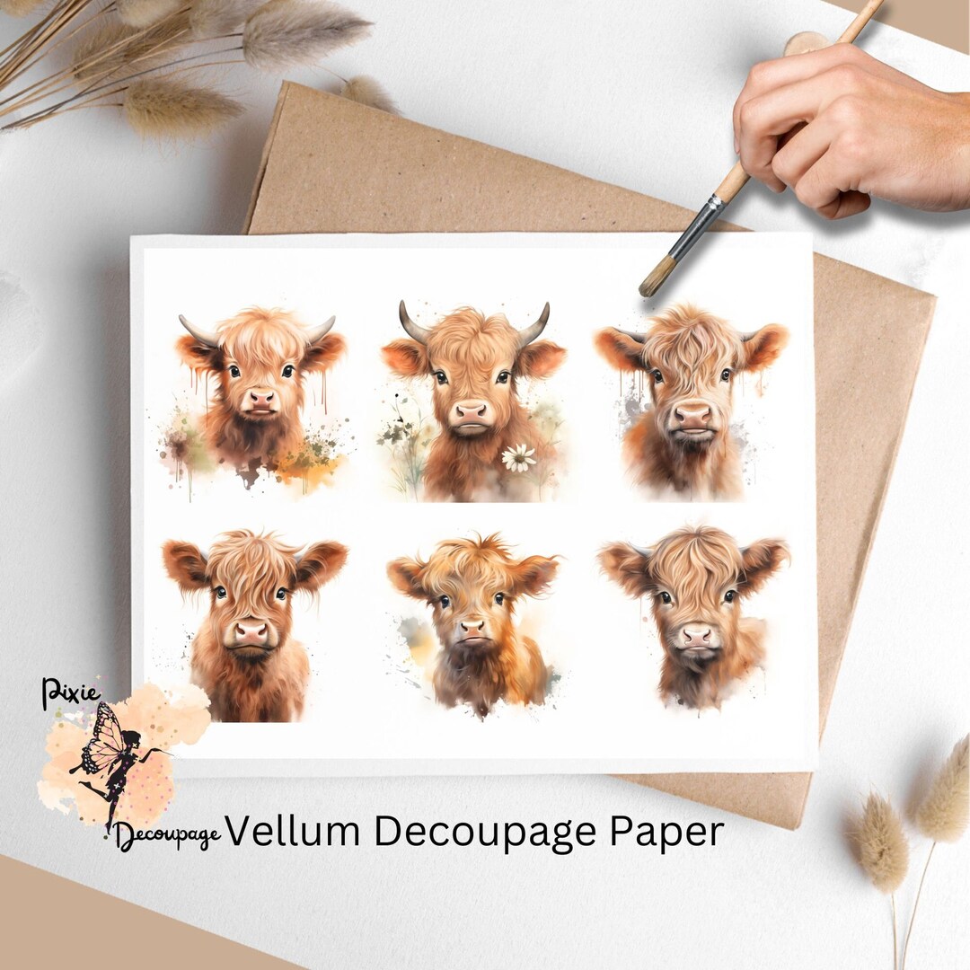 Baby Highland Cow Collage 2, Decoupage Paper US Letter Size, Shipped to ...