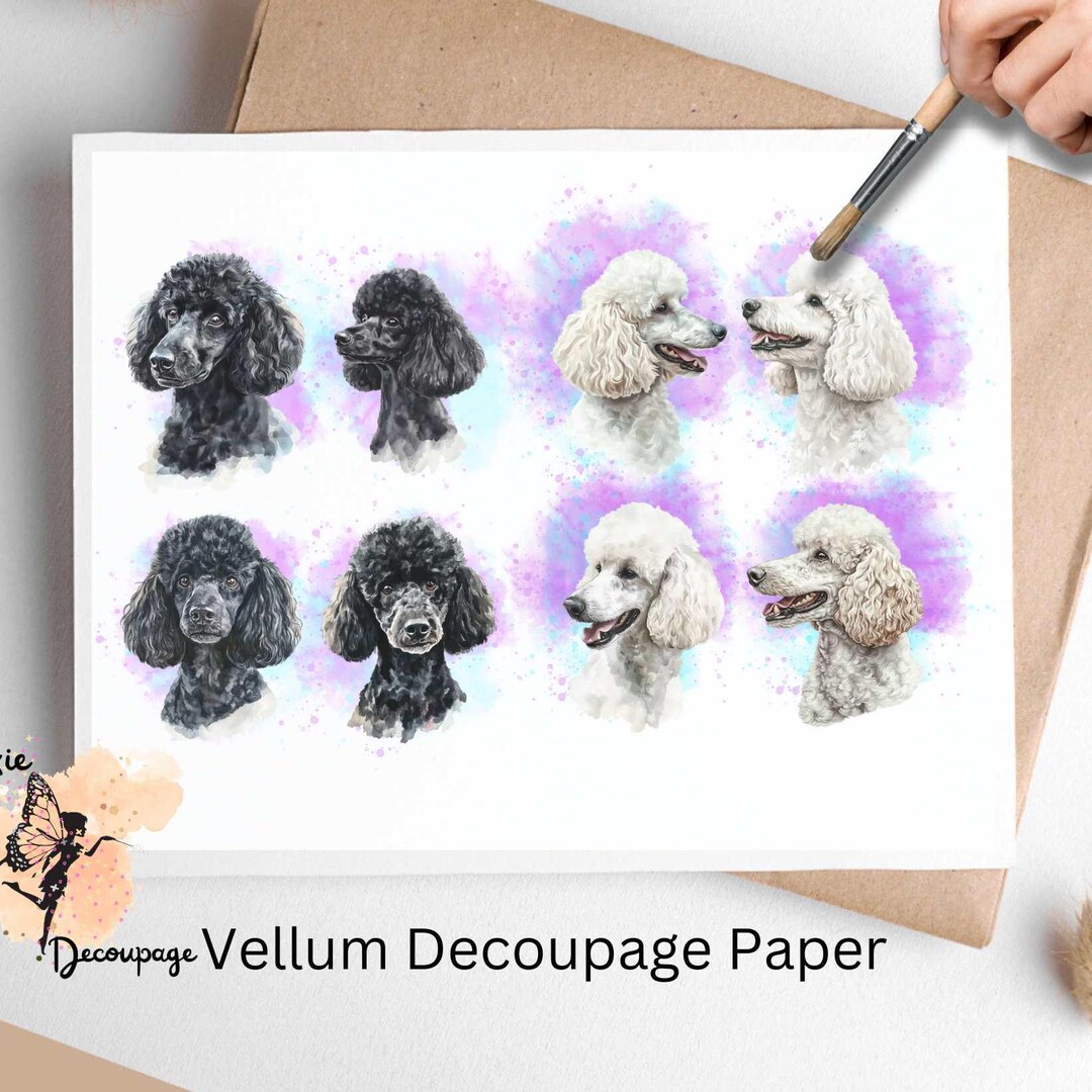 Black and White Poodle Collage 1, Vellum Decoupage Paper US Letter Size ...