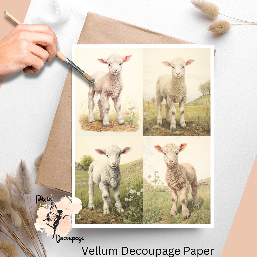 Vintage Lamb 3 , One Sheet Decoupage Paper US Letter Size - Etsy