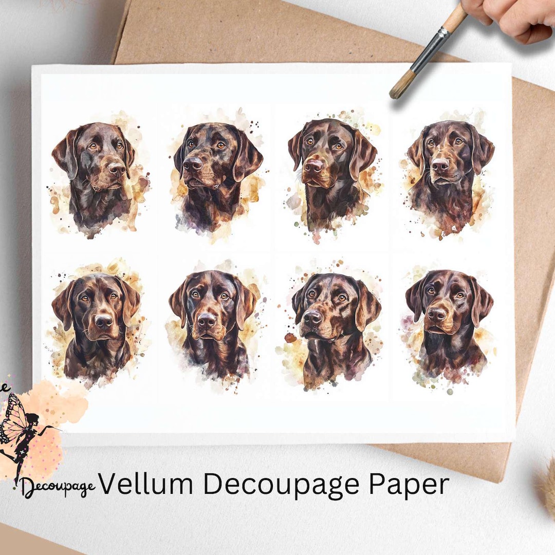 Chocolate Labrador Retriever Collage 2, Vellum Decoupage Paper US ...