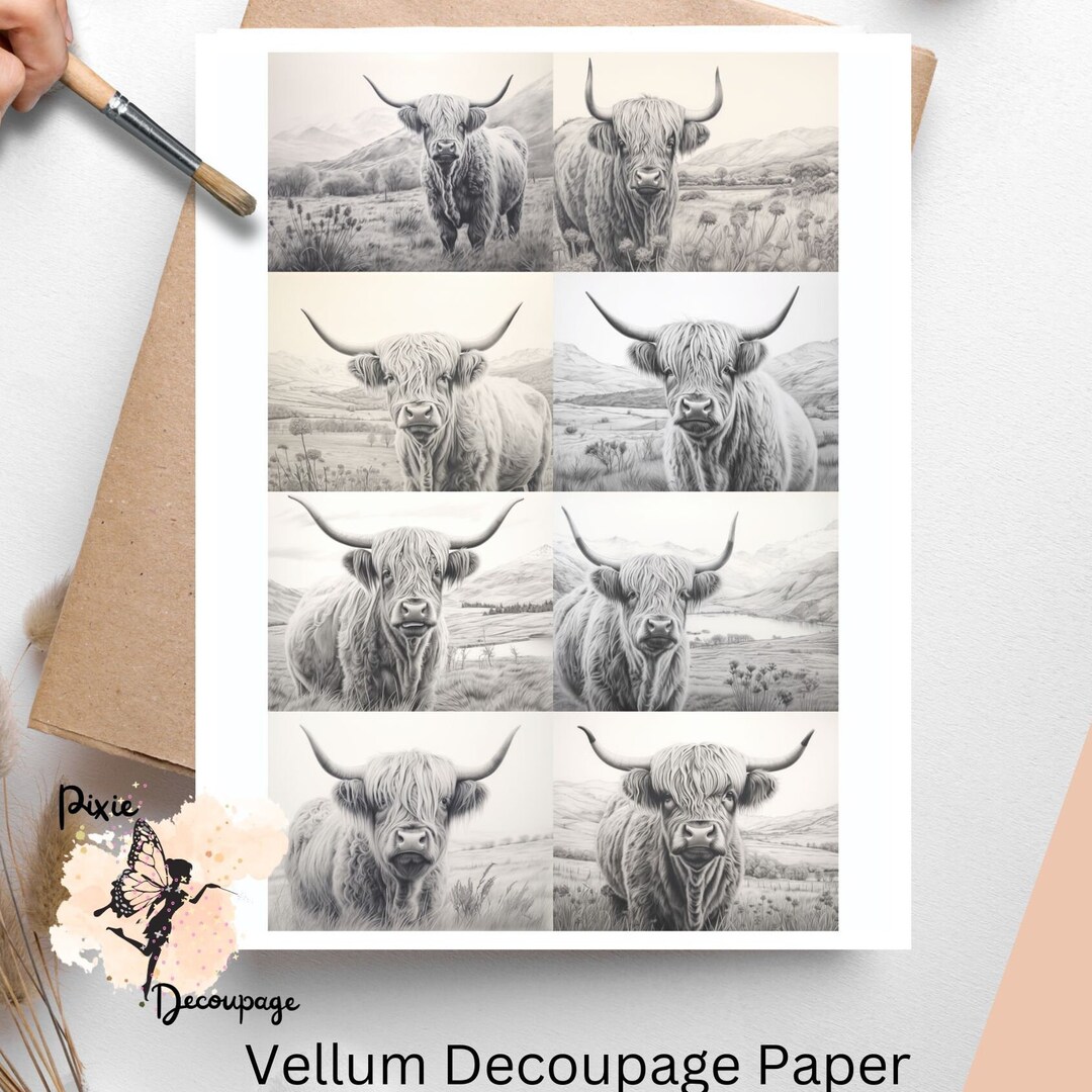 Black and White Highland Cow Collage 2, Vellum Decoupage Paper US ...