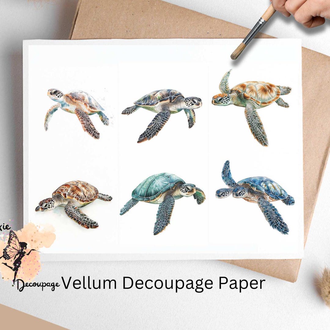Sea Turtle Collage 4, Vellum Decoupage Paper US Letter Size, Shipped to ...