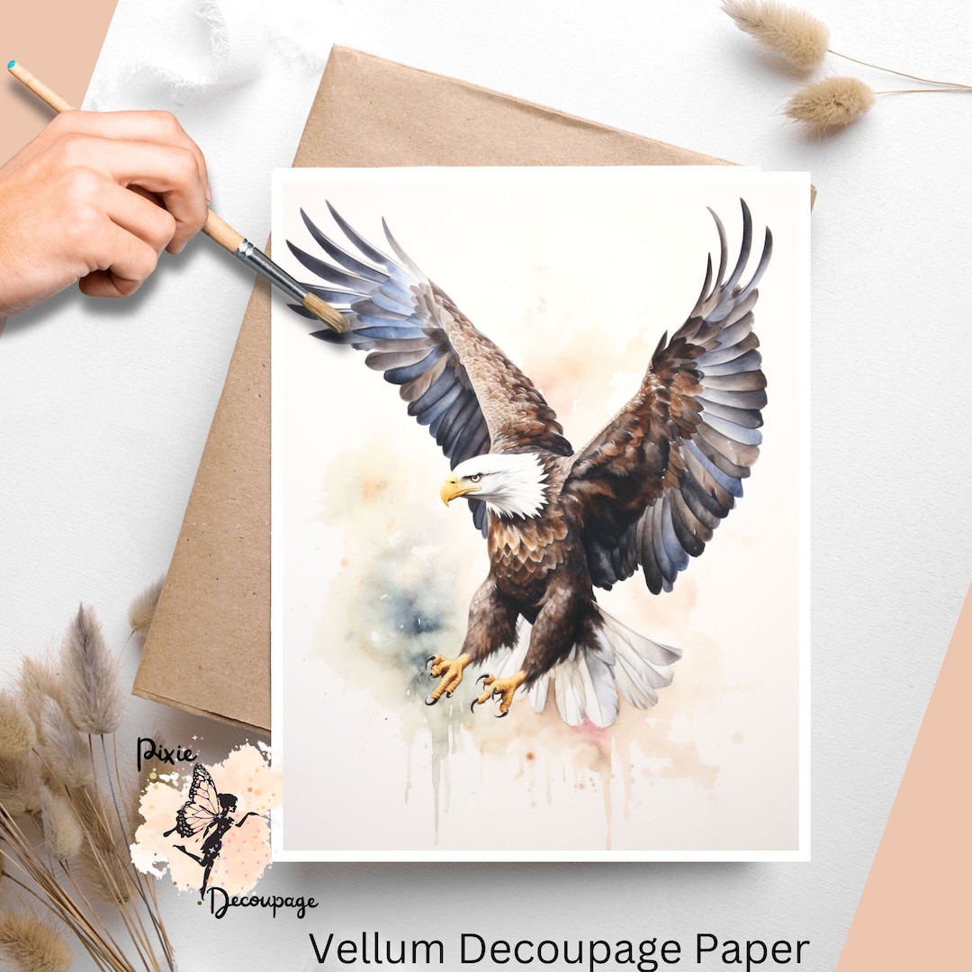 Eagle 1 Decoupage Paper US Letter Size, Shipped to You - Etsy