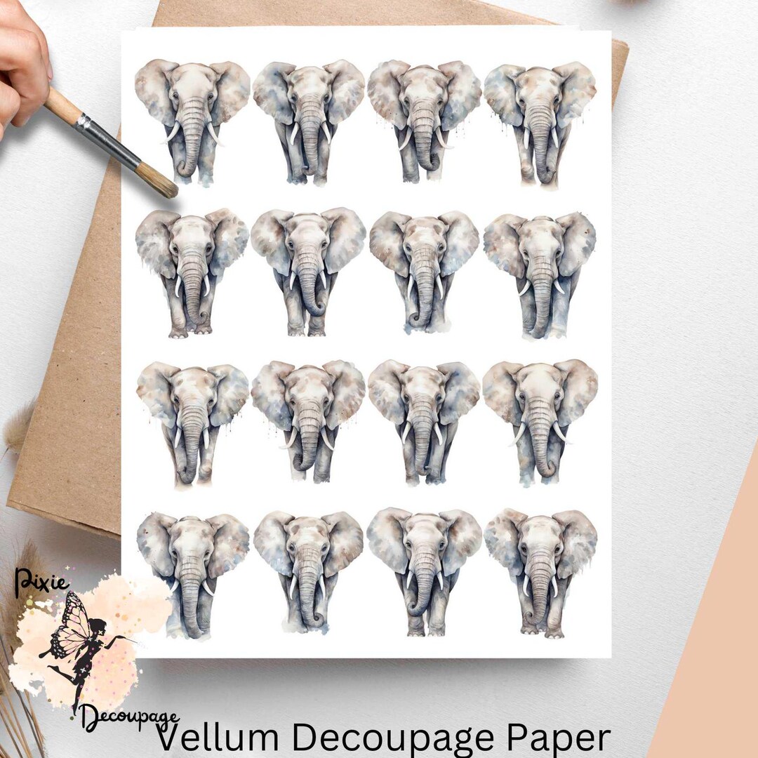 Elephant Collage 2, Vellum Decoupage Paper US Letter Size, Shipped to ...