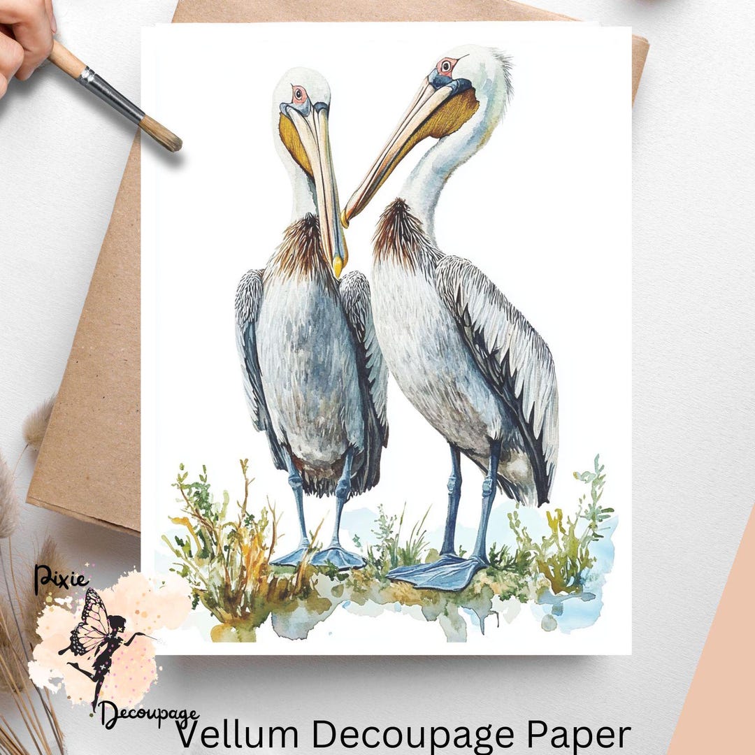 Pelicans 5, Vellum Decoupage Paper US Letter Size, Shipped to You - Etsy