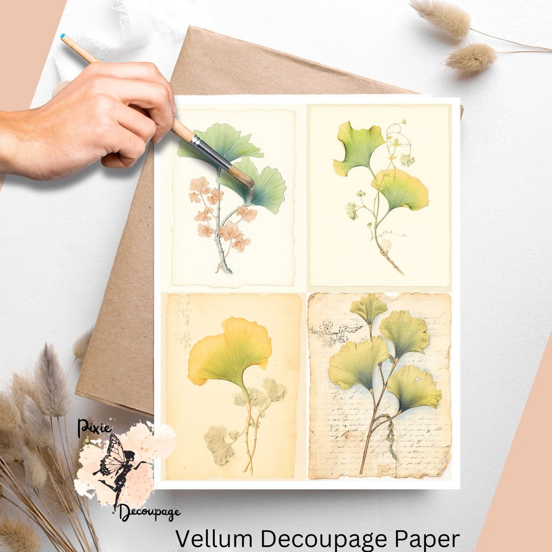 Vintage Ginkgo Leaf 2, One Sheet Decoupage Paper US Letter Size - Etsy
