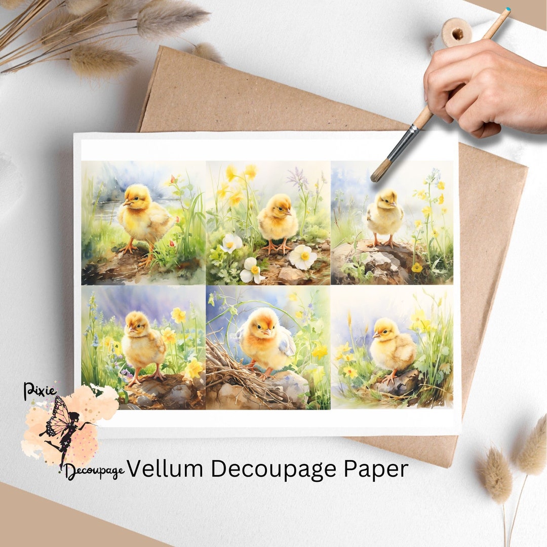 Chick in Spring Collage 1, Decoupage Paper US Letter Size, Shipped to ...