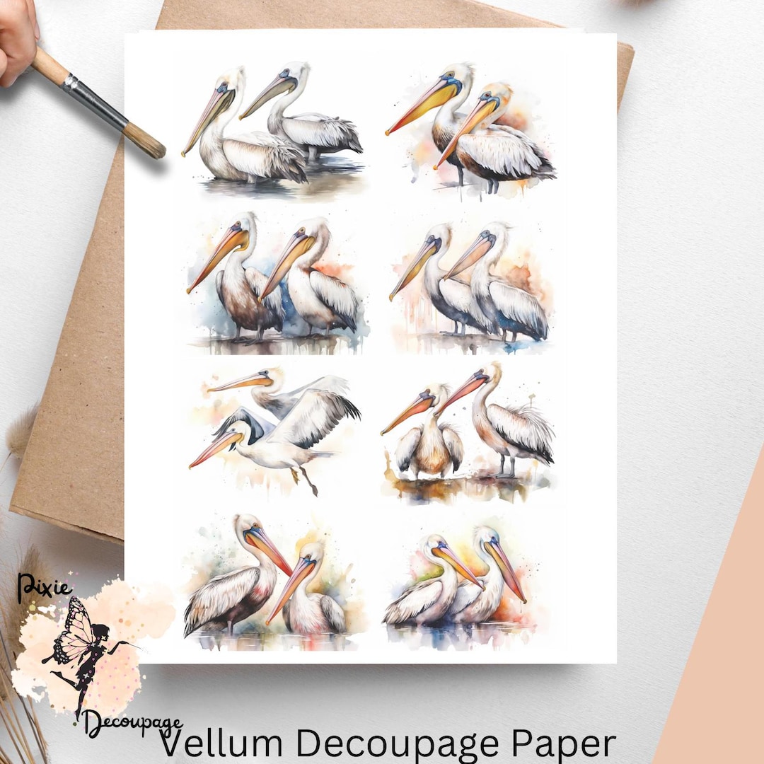 Pelicans Collage 3, Decoupage Paper US Letter Size, Shipped to You - Etsy