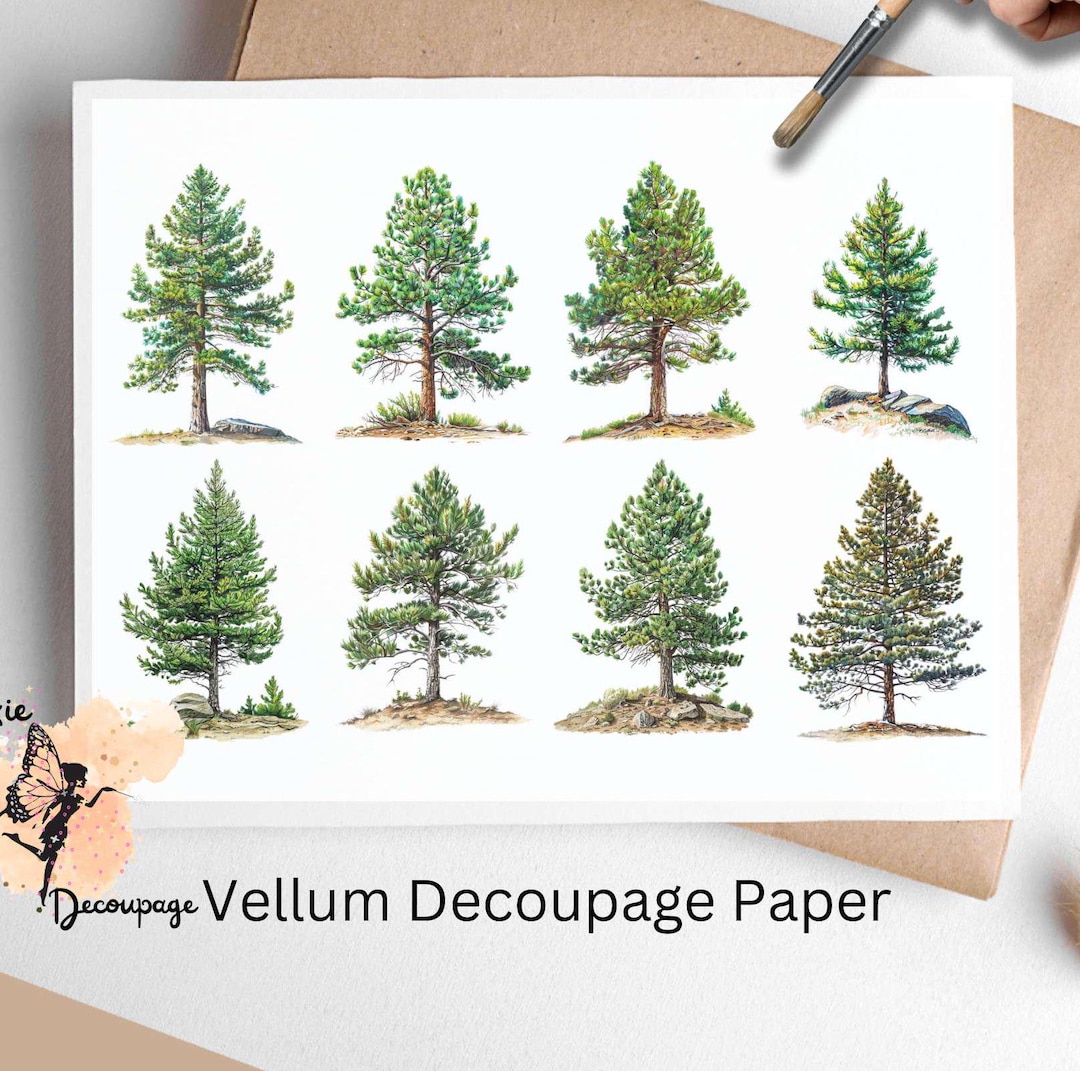 Pine Tree Collage 2, Vellum Decoupage Paper US Letter Size, Shipped to ...