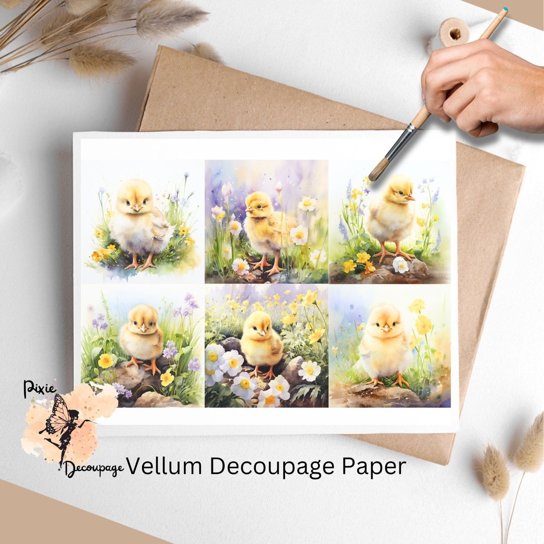Chick in Spring Collage 2, Vellum Decoupage Paper US Letter Size ...