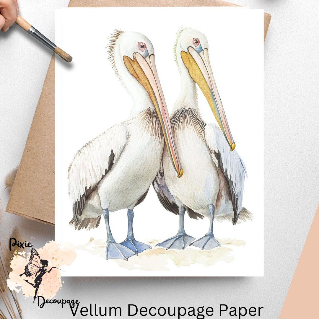Pelicans 4 Decoupage Paper US Letter Size, Shipped to You - Etsy
