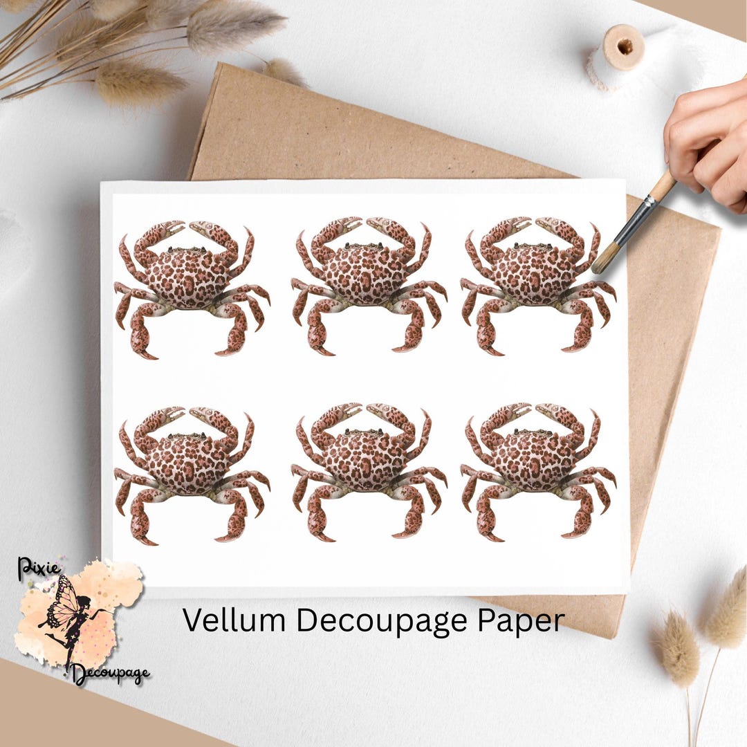 Brown Leopard Crab 1, One Sheet Decoupage Paper US Letter Size - Etsy