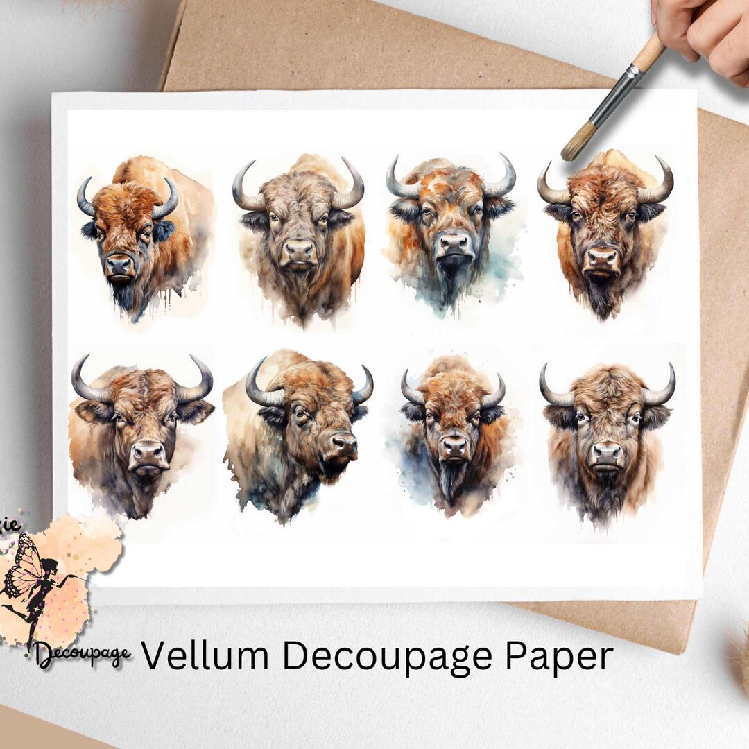 Buffalo Collage 1, Vellum Decoupage Paper US Letter Size, Shipped to ...