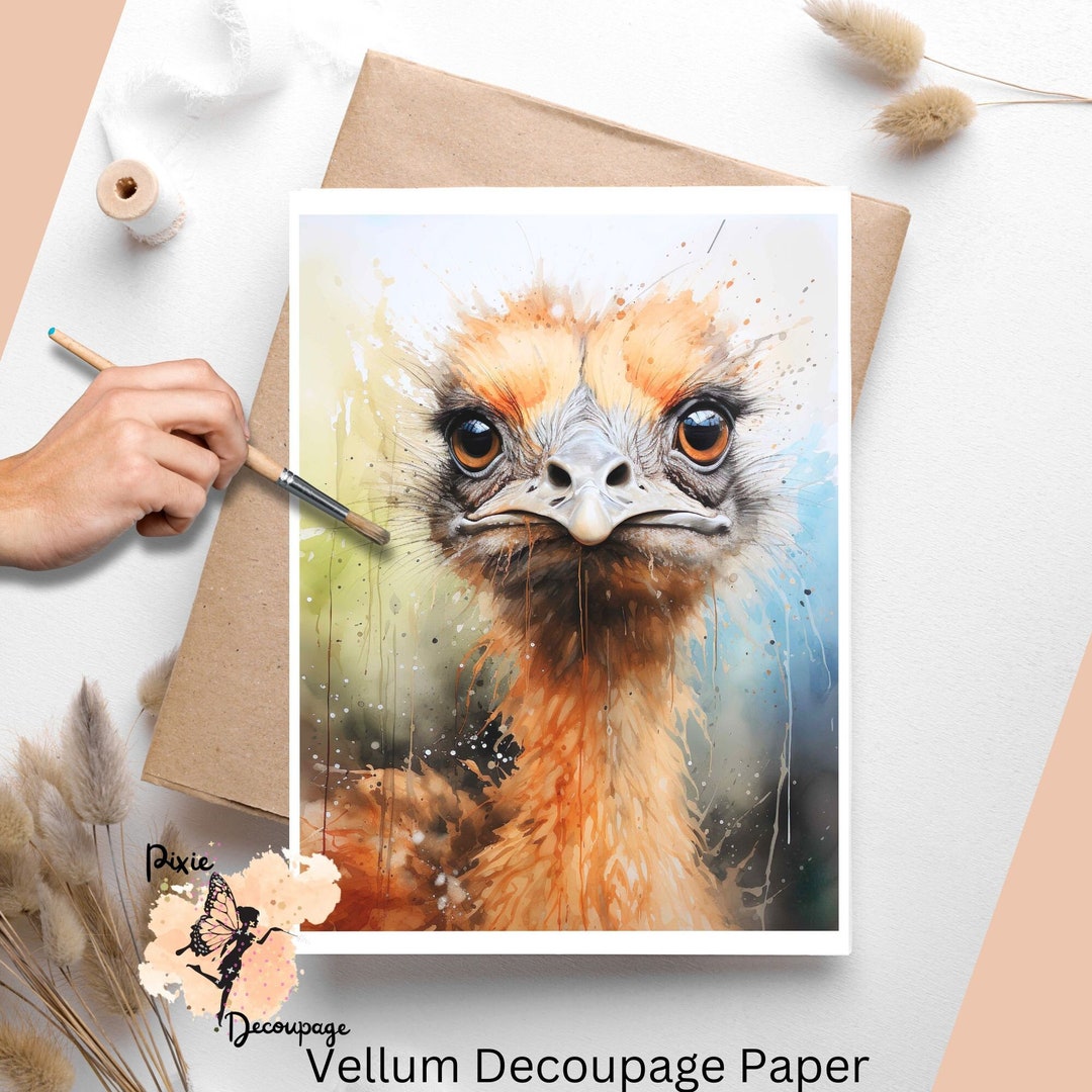 Emu 1, Vellum Decoupage Paper US Letter Size, Shipped to You - Etsy