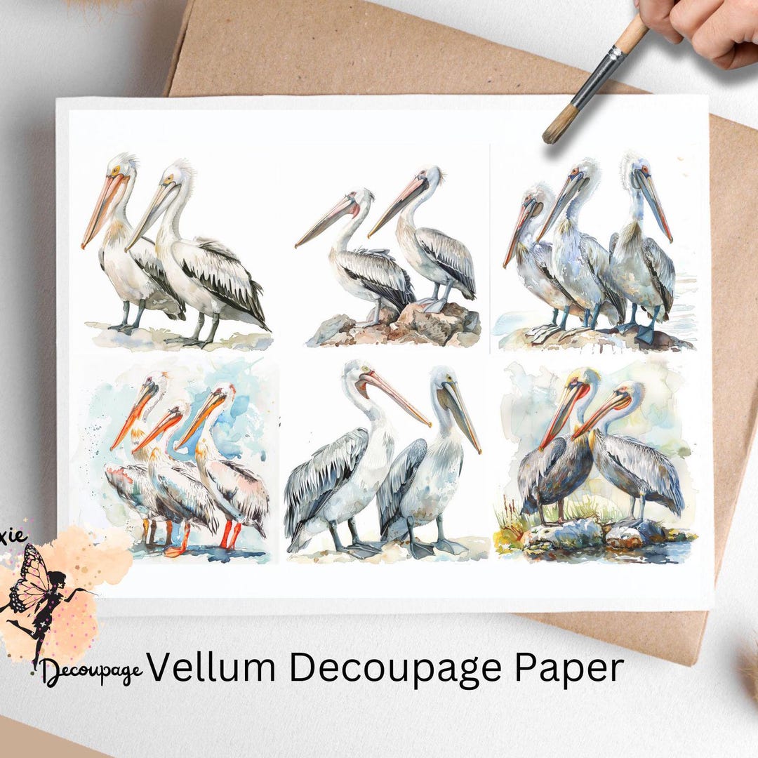 Pelicans Collage 2, Vellum Decoupage Paper US Letter Size, Shipped to ...