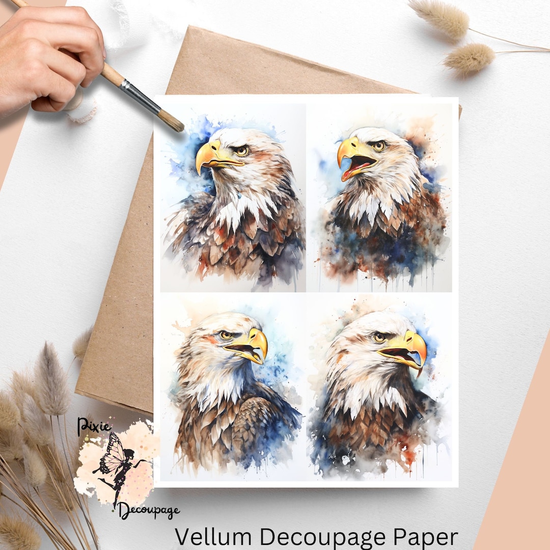 Eagle Collage 3, Decoupage Paper US Letter Size, Shipped to You - Etsy