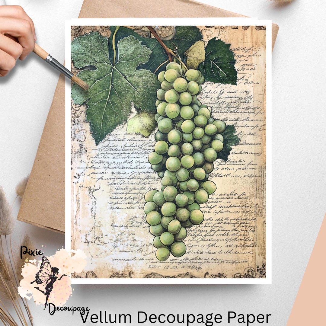Green Grapes on Vine 2, Vellum Decoupage Paper US Letter Size, Shipped ...