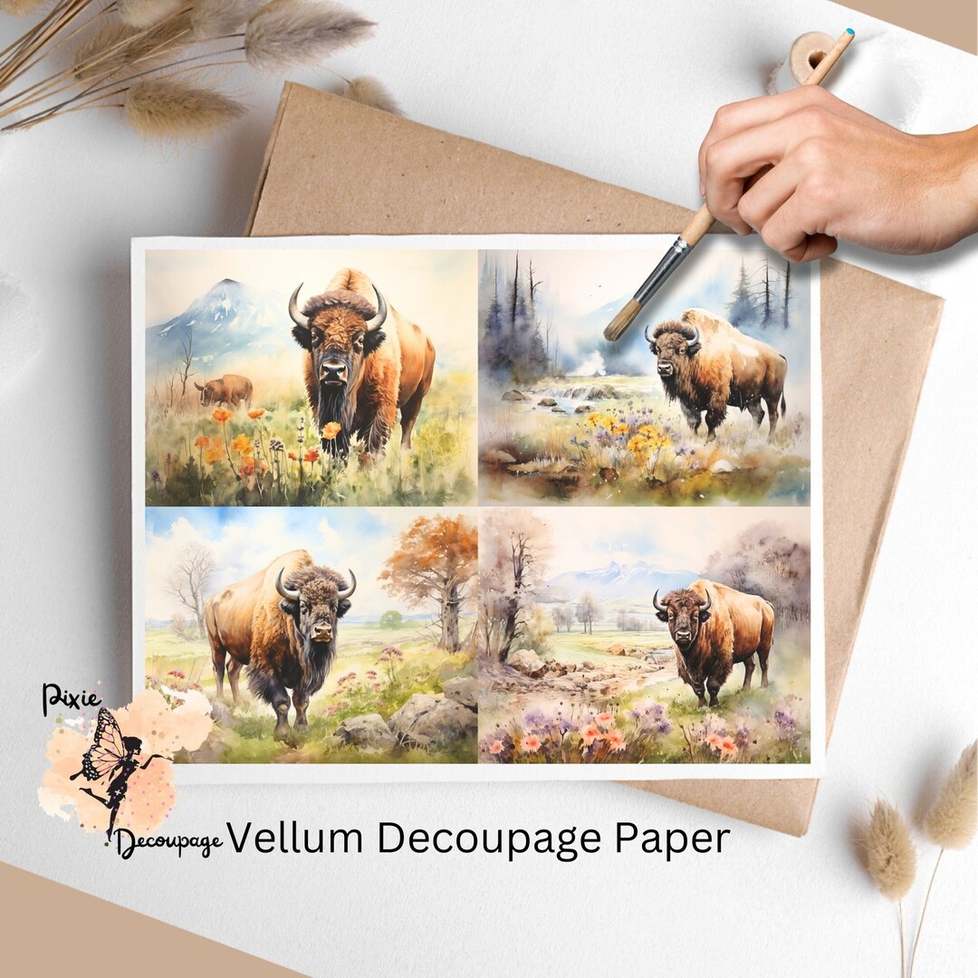 Bison in Spring Collage 2, Vellum Decoupage Paper US Letter Size ...